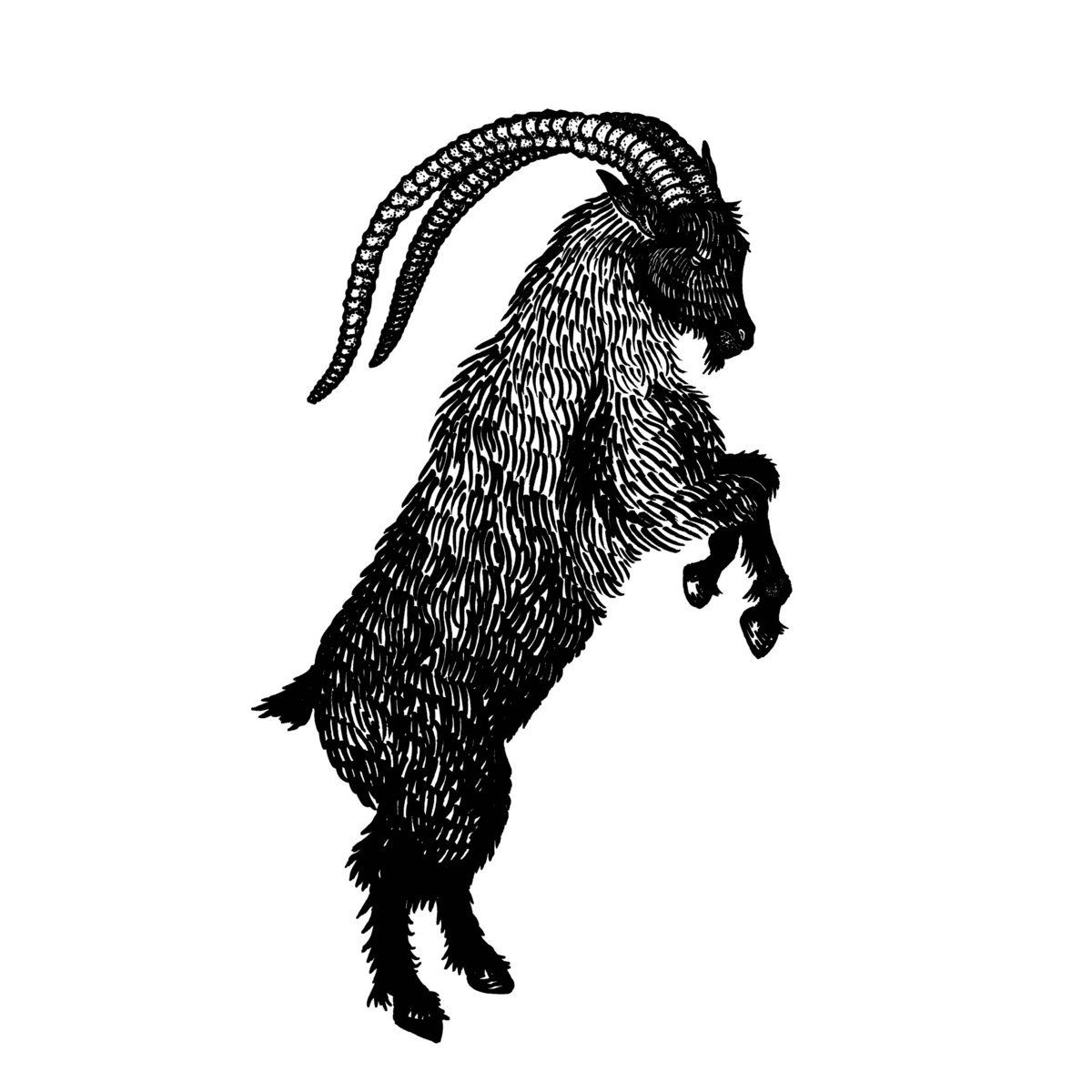 Yrre - Luhlae x The Witch - Ateneo Oculto