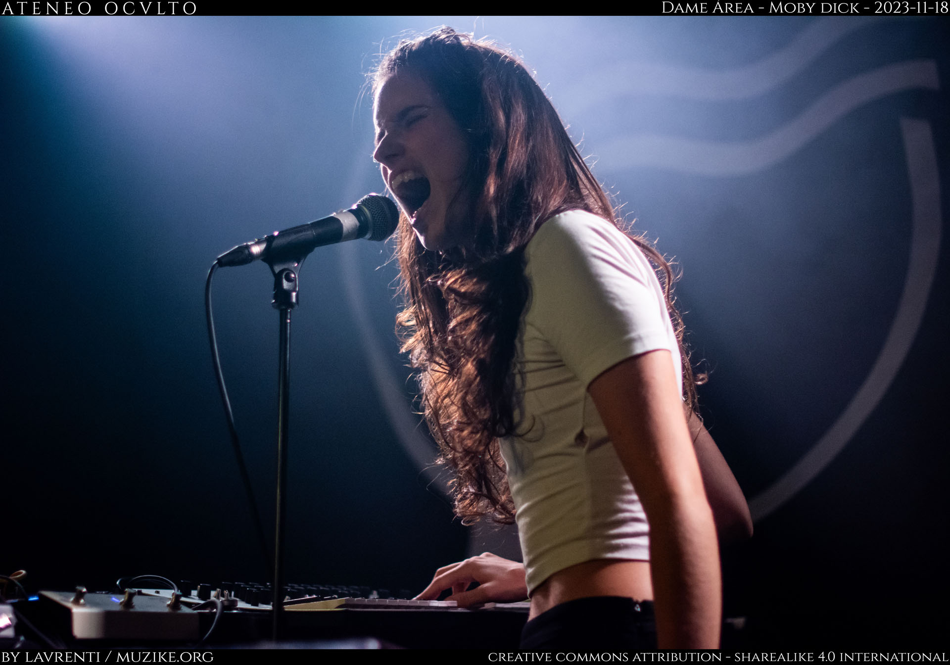 Dame Área - Moby Dick - 2023-11-18 - Ateneo Oculto